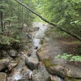 The Flume Gorge Trail, New Hampshire - 4,494 Reviews, Map | AllTrails