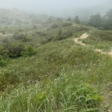 Pyramid Point Loop, Michigan - 1,165 Reviews, Map | AllTrails