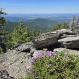 Mount Kit Carson Trail, Washington - 1,002 Reviews, Map | AllTrails