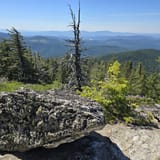 Mount Kit Carson Trail, Washington - 1,002 Reviews, Map | AllTrails