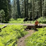 Dewey, Crocker, and Stanford Point via the Pohono Trail, California ...