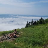 Mount Greylock via Bellows Pipe Trail, Massachusetts - 2,396 Reviews ...