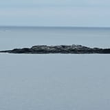 Ocean Path Trail, Maine - 3,554 Reviews, Map | AllTrails