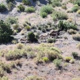 The Slots (Lower Kyle Canyon), Nevada - 226 Reviews, Map | AllTrails