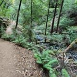 Cataract Falls Trail, California - 3,912 Reviews, Map | AllTrails