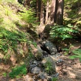 Cataract Falls Trail, California - 3,912 Reviews, Map | AllTrails