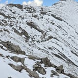 Grotto Mountain Trail, Alberta, Canada - 1,254 Reviews, Map | AllTrails