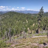 Swauk Forest Discovery Trail, Washington - 434 Reviews, Map | AllTrails