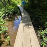 Neabsco Creek Boardwalk, Virginia - 969 Reviews, Map | AllTrails