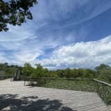 Neabsco Creek Boardwalk, Virginia - 969 Reviews, Map | AllTrails