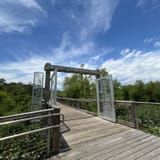 Neabsco Creek Boardwalk, Virginia - 969 Reviews, Map | AllTrails