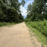 Neabsco Creek Boardwalk, Virginia - 969 Reviews, Map | AllTrails