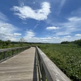 Neabsco Creek Boardwalk, Virginia - 969 Reviews, Map | AllTrails