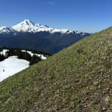 Excelsior Pass Trail, Washington - 668 Reviews, Map | AllTrails