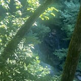 Issaqueena Falls Trail, South Carolina - 872 Reviews, Map | AllTrails