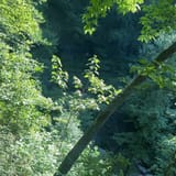 Issaqueena Falls Trail, South Carolina - 872 Reviews, Map | AllTrails