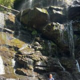 Yellow Branch Falls Trail, South Carolina - 2,837 Reviews, Map | AllTrails