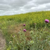 Castle Trail to Medicine Root Loop, South Dakota - 685 Reviews, Map ...