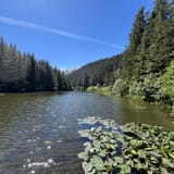 Two Lakes Trail, Alaska - 571 Reviews, Map | AllTrails