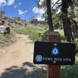 Tahoe Rim Trail to Picnic Rock Viewpoint, California - 3,492 Reviews, Map | AllTrails