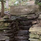 Hard Times Loop, North Carolina - 1,640 Reviews, Map | AllTrails