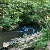 Hard Times Loop, North Carolina - 1,640 Reviews, Map | AllTrails