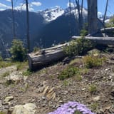 Lightning Lake Loop, British Columbia, Canada - 776 Reviews, Map ...