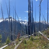 Lightning Lake Loop, British Columbia, Canada - 776 Reviews, Map ...