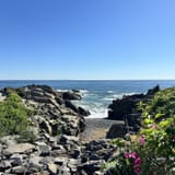 Marginal Way, Maine - 1,659 Reviews, Map | AllTrails