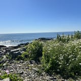 Marginal Way, Maine - 1,659 Reviews, Map | AllTrails