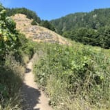 Alamere Falls via Coast Trail from Palomarin Trailhead, California ...