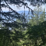Oyster Dome from Samish Overlook, Washington - 2,741 Reviews, Map ...