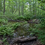 Oberg Mountain Loop Via Superior Hiking Trail, Minnesota - 1,560 ...