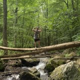 Soco Falls Trail, North Carolina - 789 Reviews, Map | AllTrails