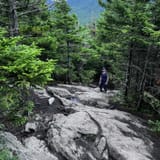 Stowe Pinnacle Trail, Vermont - 2,393 Reviews, Map | AllTrails