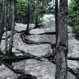 Stowe Pinnacle Trail, Vermont - 2,425 Reviews, Map | AllTrails