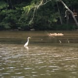 Trail of the Muscogee, Georgia - 556 Reviews, Map | AllTrails