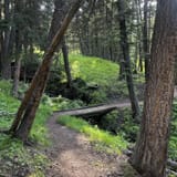 Beaver Ponds Loop Trail, Montana - 1,227 Reviews, Map | AllTrails