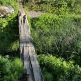 Beaver Ponds Loop Trail, Montana - 1,227 Reviews, Map | AllTrails