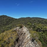Pages Pinnacle , Queensland, Australia - 1,567 Reviews, Map | AllTrails