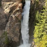 Booth Falls, Colorado - 5,313 Reviews, Map | AllTrails