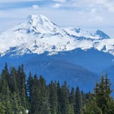 Excelsior Pass Trail, Washington - 668 Reviews, Map | AllTrails