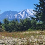 Hummocks Trail, Washington - 1,080 Reviews, Map | AllTrails