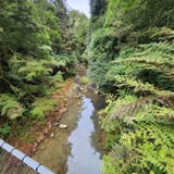 Cossey Massey Loop Track, Auckland, New Zealand - 889 Reviews, Map ...