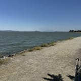 Bay Farm Island Loop Trail, California - 1,183 Reviews, Map | AllTrails