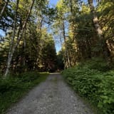 Sultan River Canyon Trail, Washington - 276 Reviews, Map | AllTrails