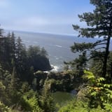 Natural Bridges Viewpoint Trail, Oregon - 799 Reviews, Map | AllTrails