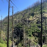 Oneonta Trail, Oregon - 724 Reviews, Map | AllTrails