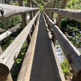 Oneonta Trail, Oregon - 724 Reviews, Map | AllTrails