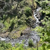 Oneonta Trail, Oregon - 724 Reviews, Map | AllTrails